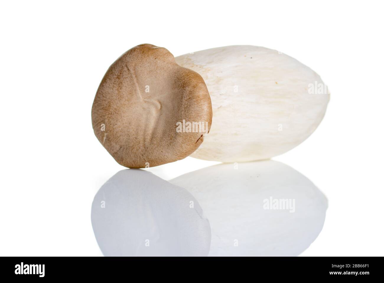 White musroom hi-res stock photography and images - Alamy