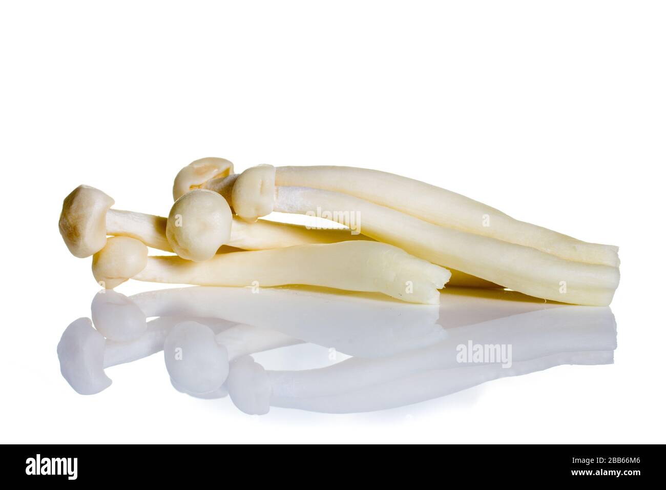 White musroom hi-res stock photography and images - Alamy