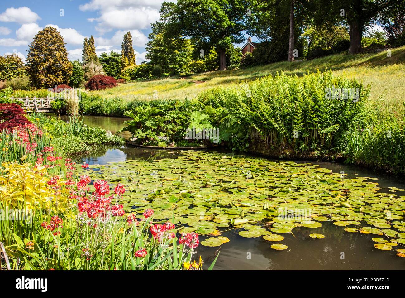Lily pond wooden bridge hi-res stock photography and images - Alamy