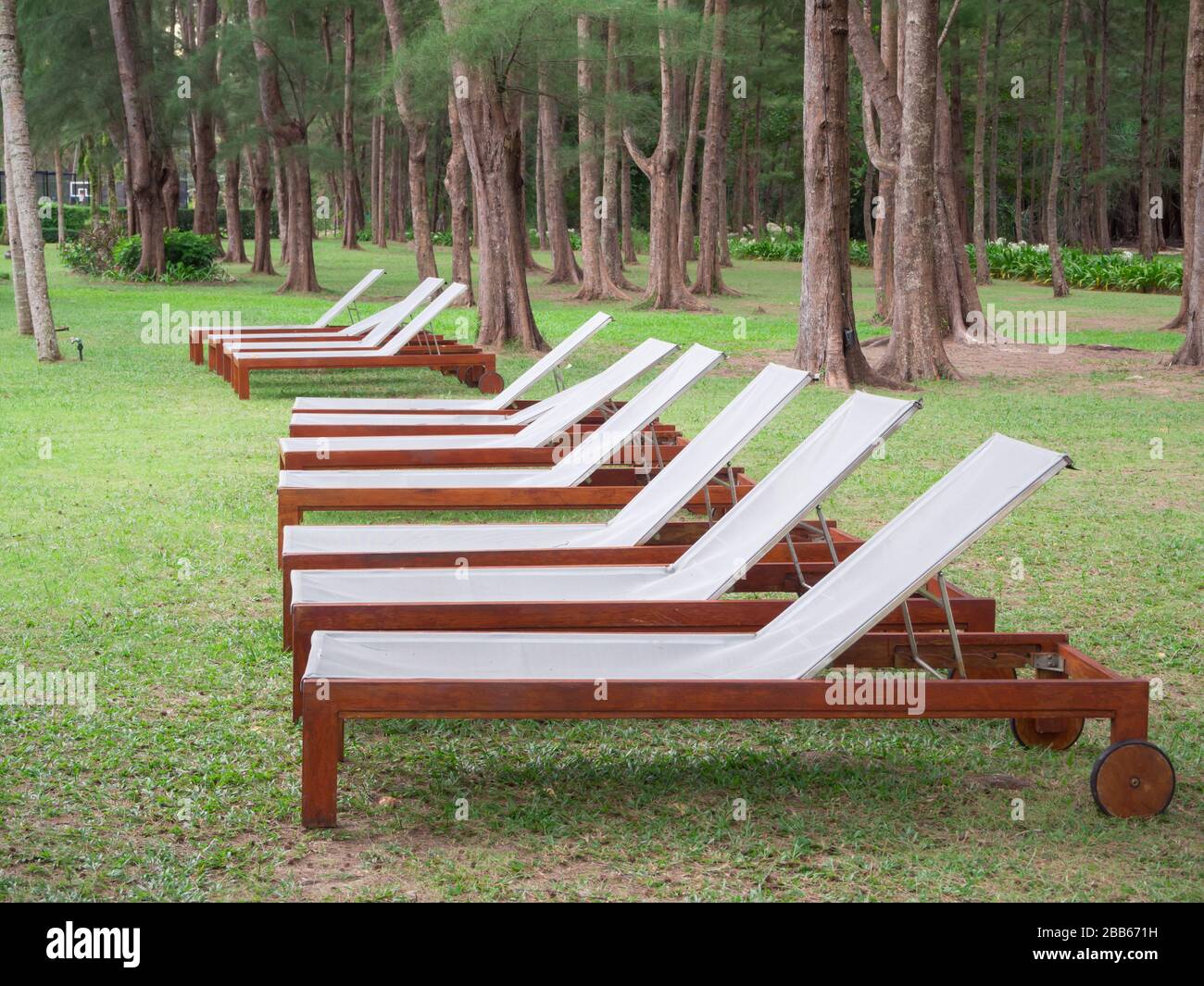 Cradle wooden wood tree hi-res stock photography and images - Alamy