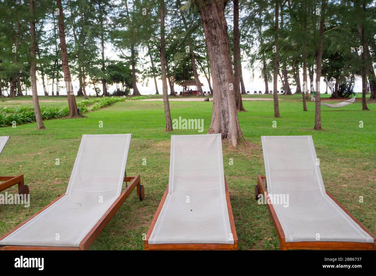 Cradle wooden wood tree hi-res stock photography and images - Alamy