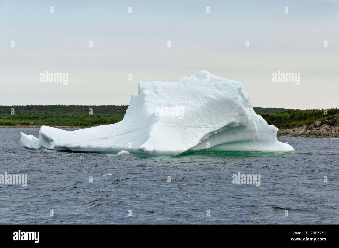 Bright white iceberg on dark water and rock background Stock Photo - Alamy
