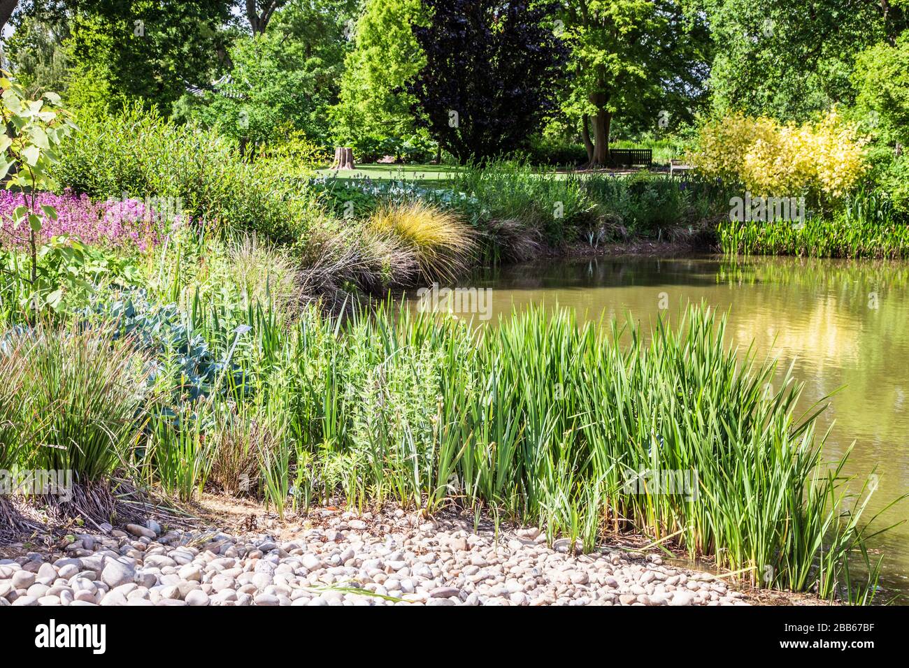 Lawn pond pond hi-res stock photography and images - Alamy