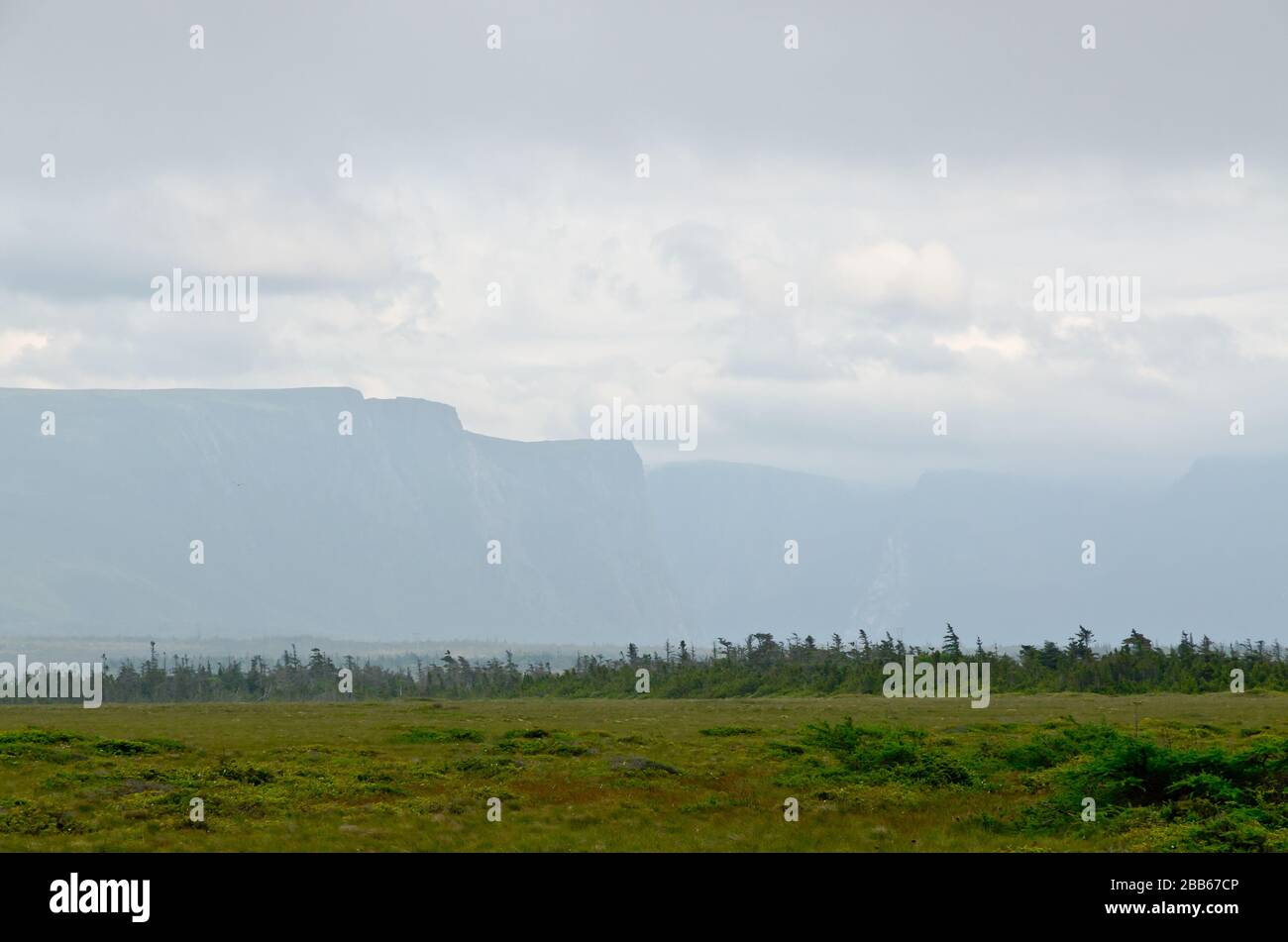 Newfoundland coast in summer time Stock Photo - Alamy