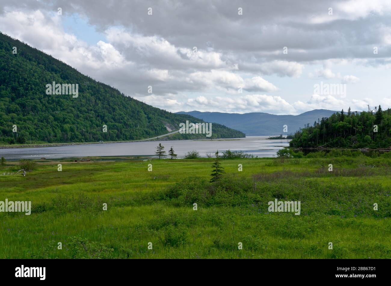 Newfoundland coast in summer time Stock Photo - Alamy