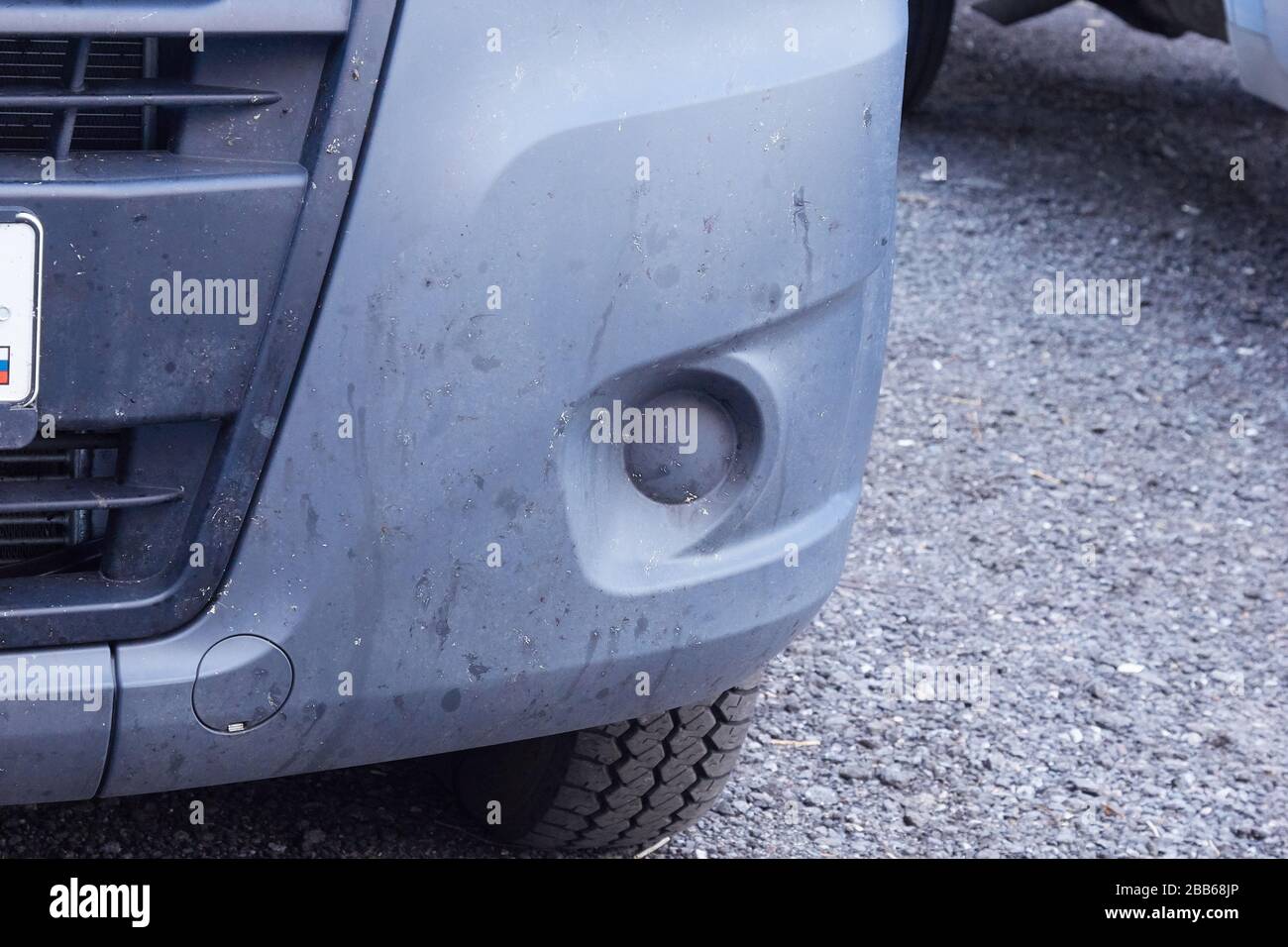 midges insects on the bumper and hood of the car Stock Photo - Alamy