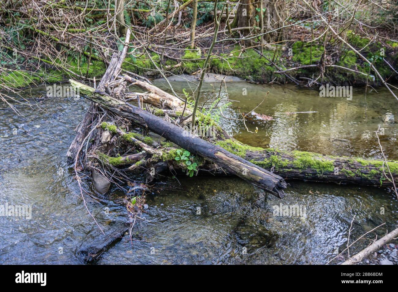 Log jam hi-res stock photography and images - Alamy
