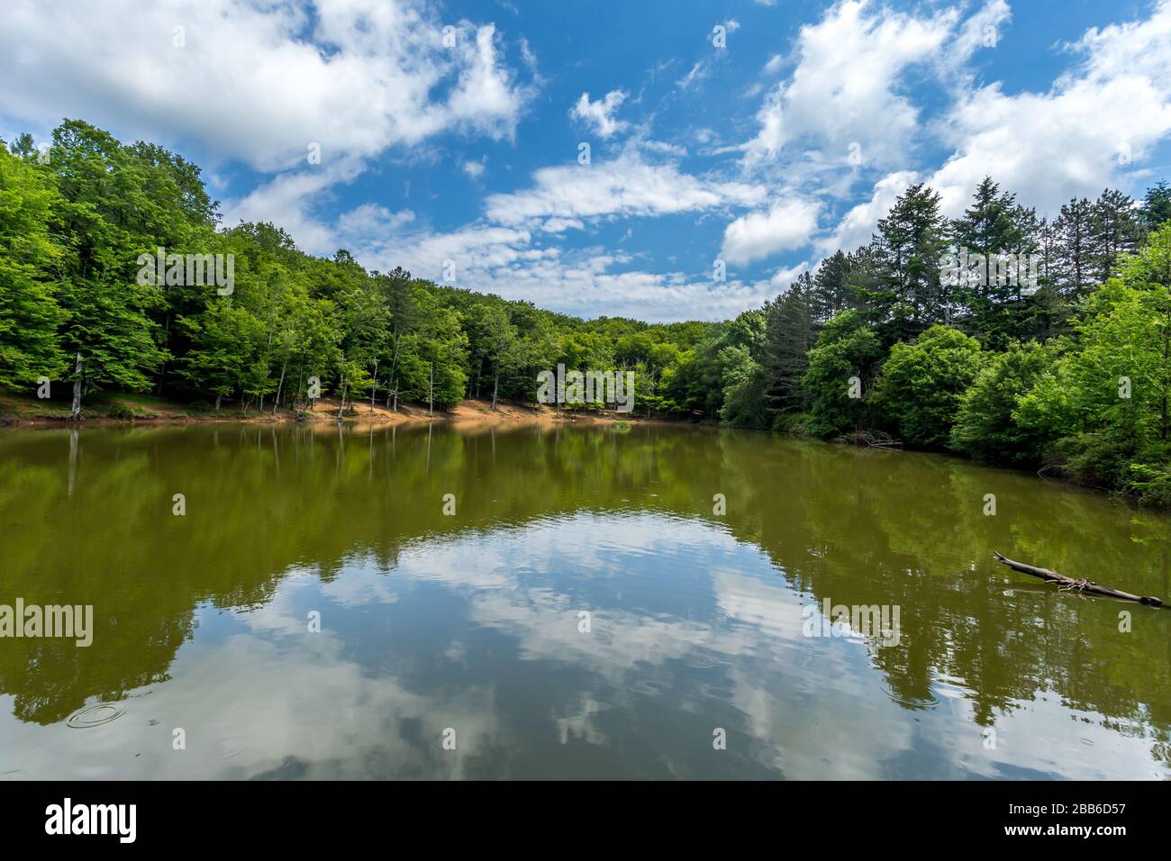 A picturesque small lake in Umbra Forest, a natural reserve part of ...