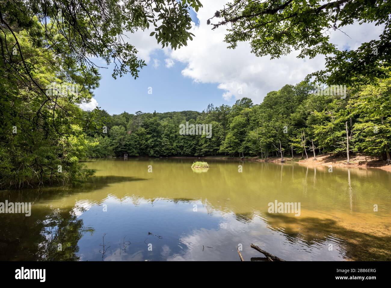 A picturesque small lake in Umbra Forest, a natural reserve part of ...