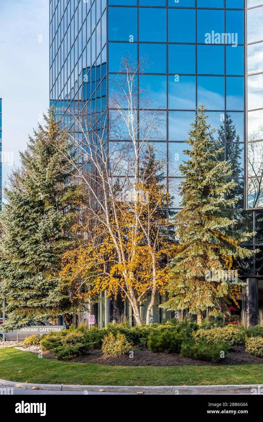 Business building in fall time. Markham, Canada Stock Photo - Alamy