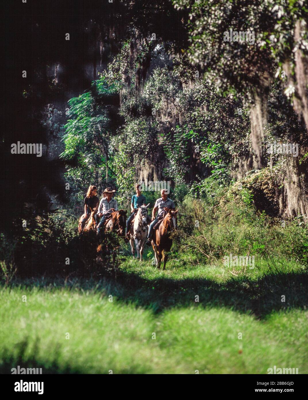 Group of adult and teen male and female trail riders on forest path ...