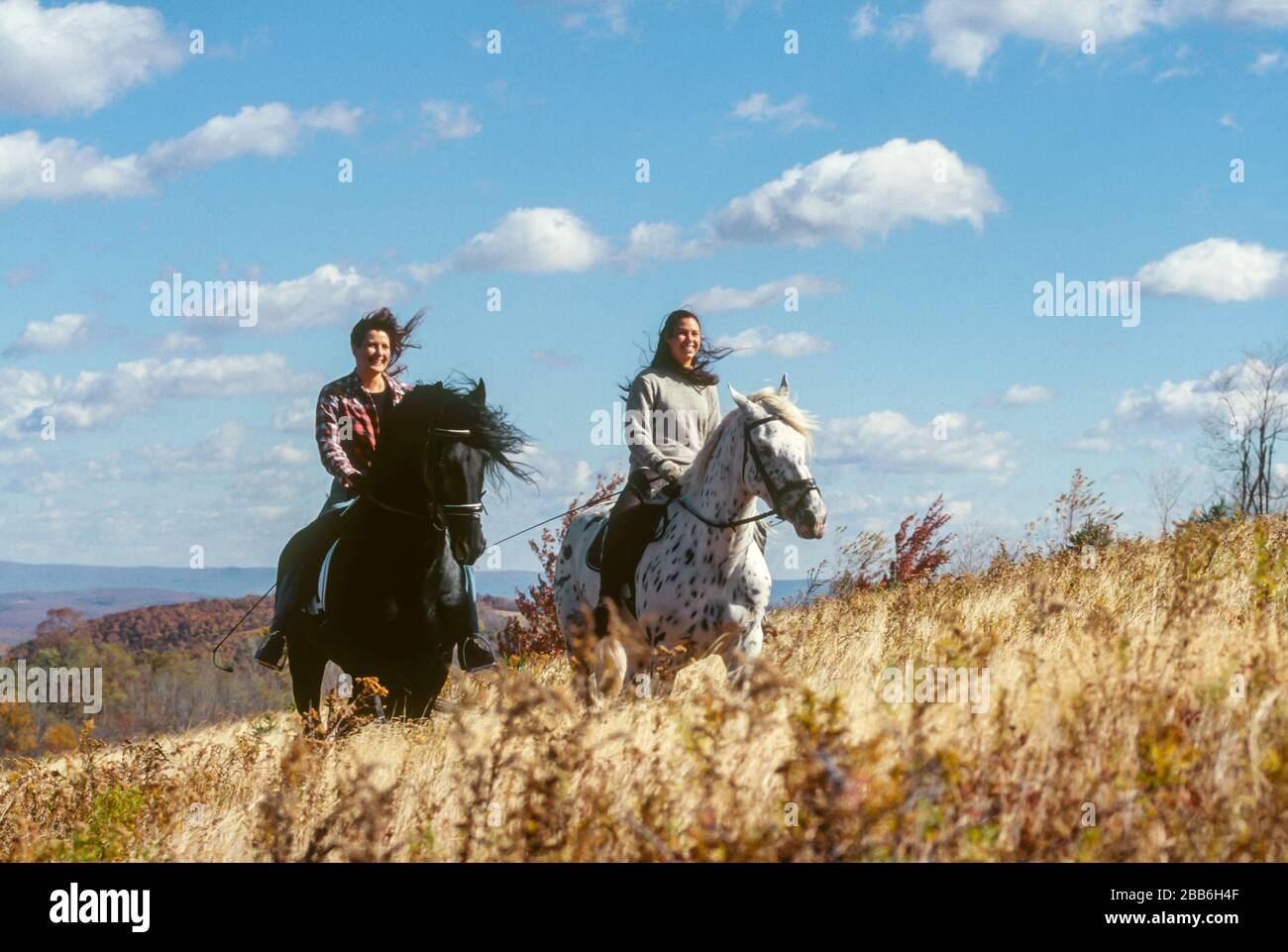 Hilltop horseback riders hi-res stock photography and images - Alamy