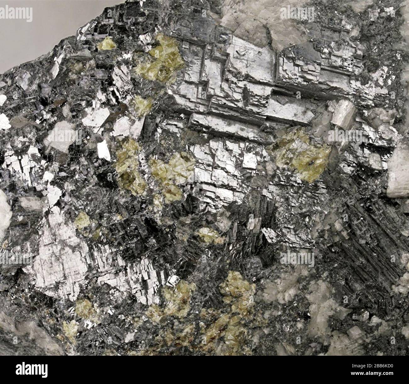 Fluorescent labeled hi-res stock photography and images - Alamy