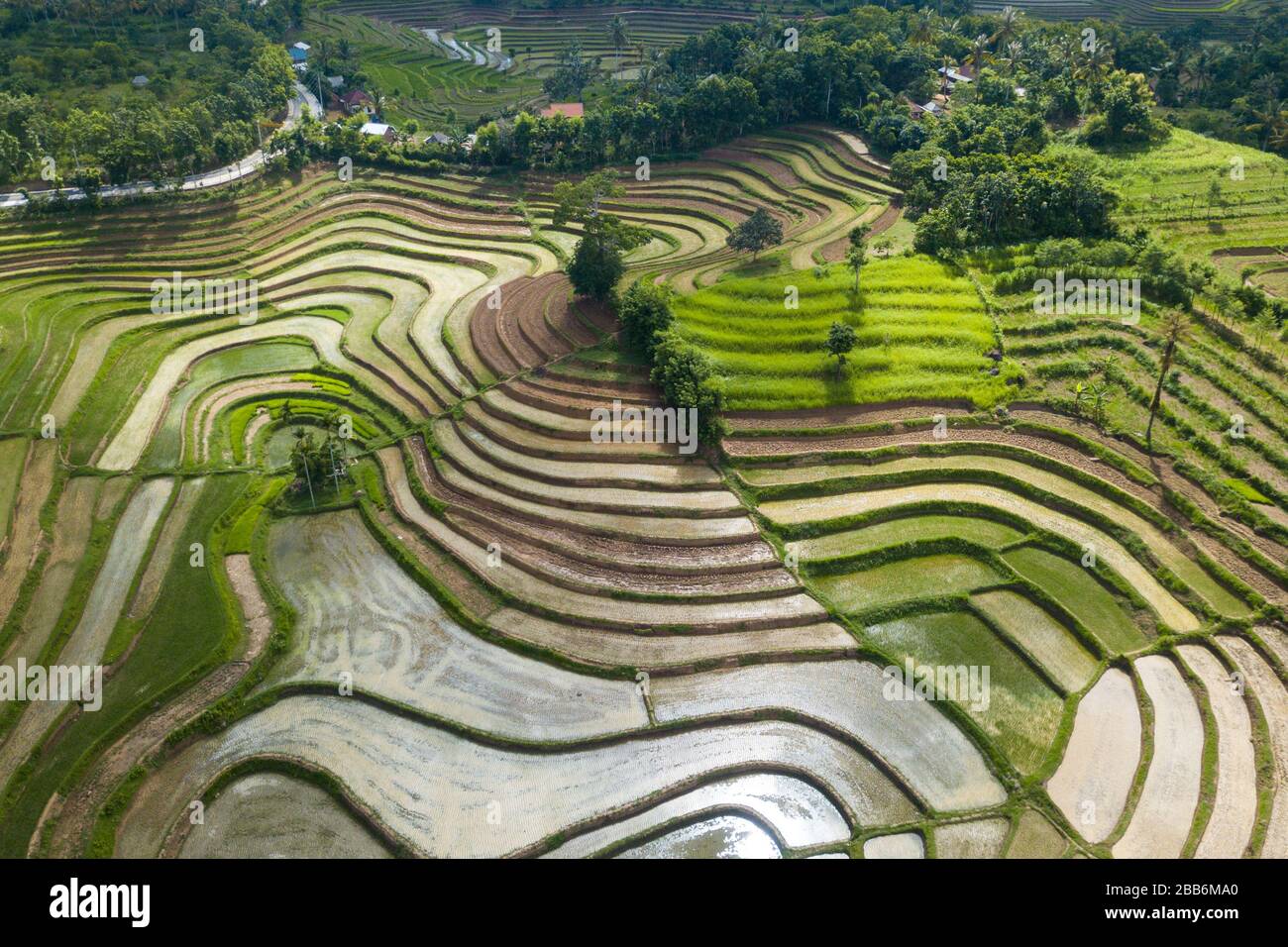 Terraced Rice Fields Aerial View Of Lush Green Terraced Rice Fields
