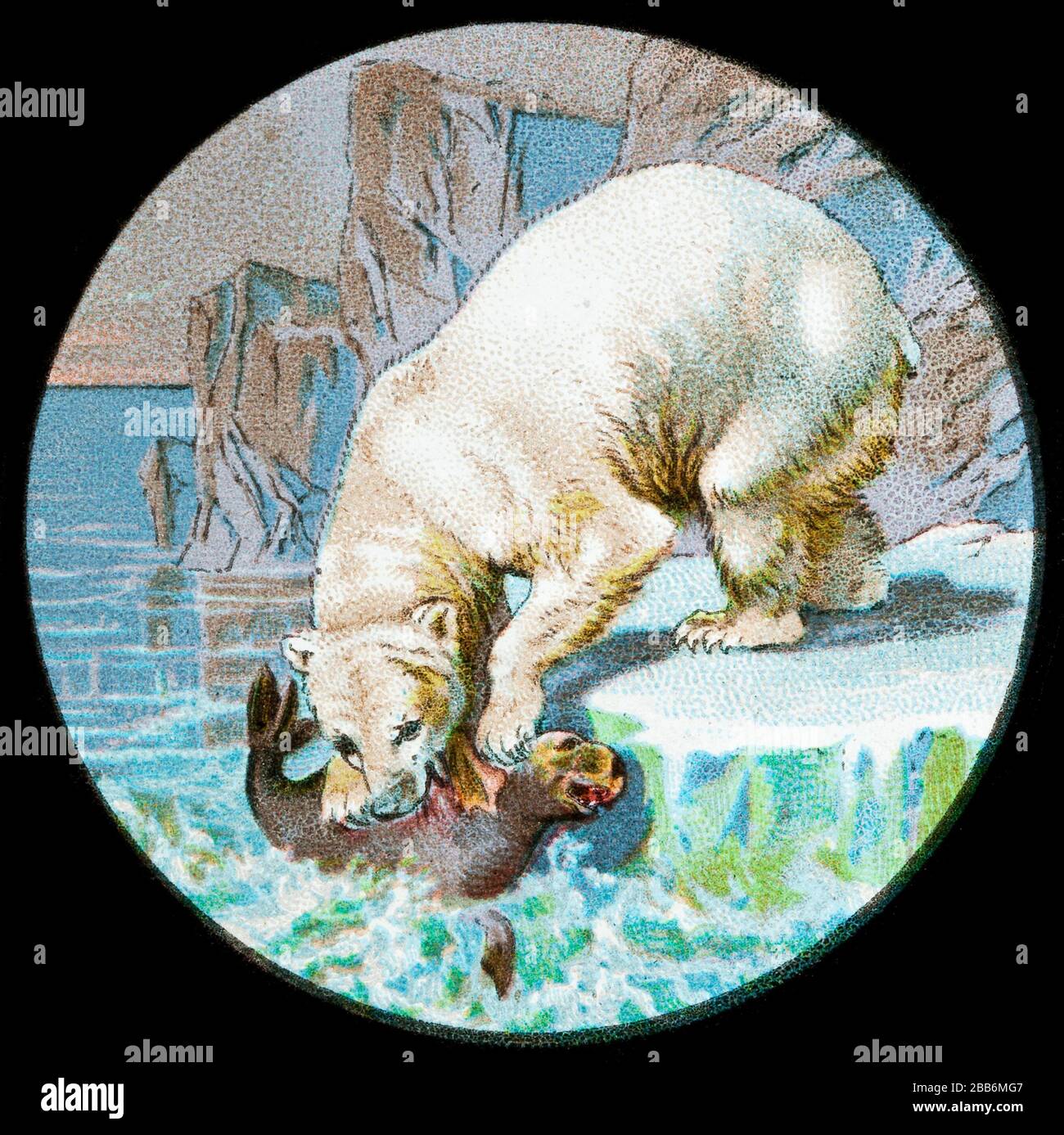 These are a natural scenic illustration of wildlife, natural habitat ...