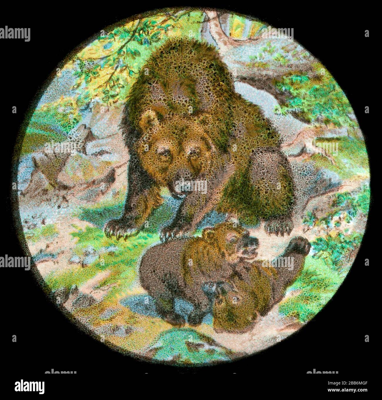 These are a natural scenic illustration of wildlife, natural habitat ...