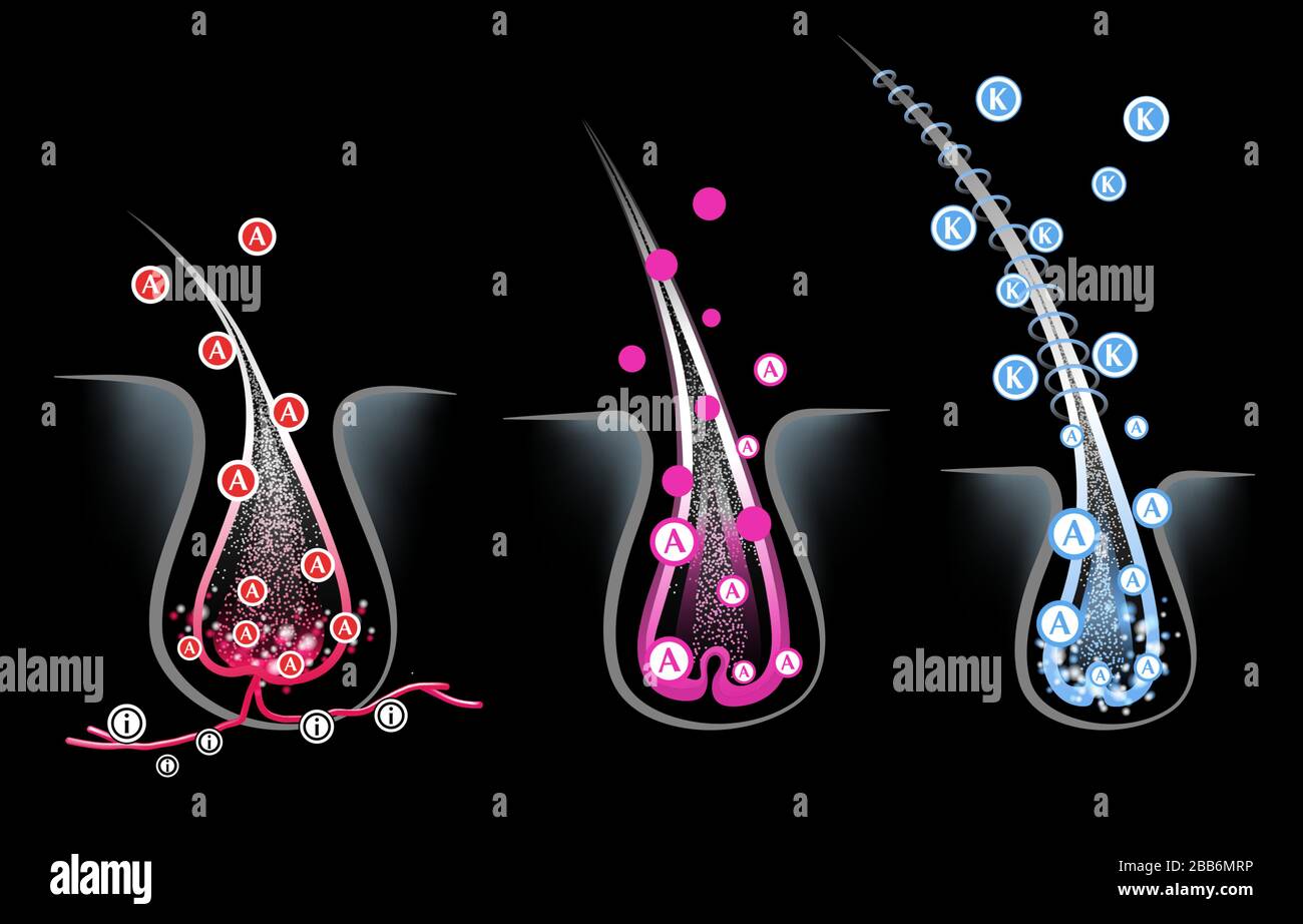 Skin care health protect layer hi-res stock photography and images - Alamy