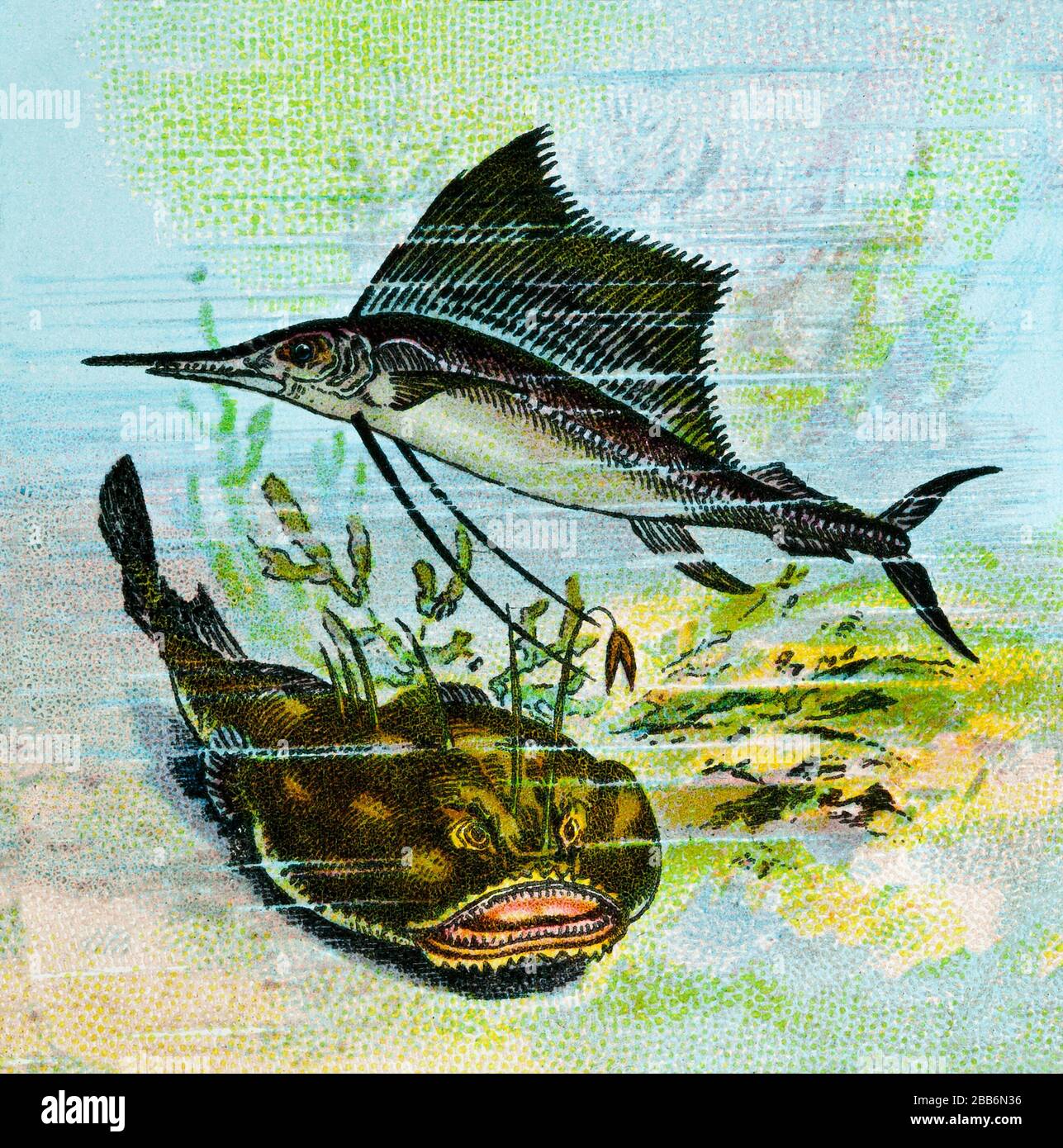 These are a natural scenic illustration of wildlife, natural habitat ...