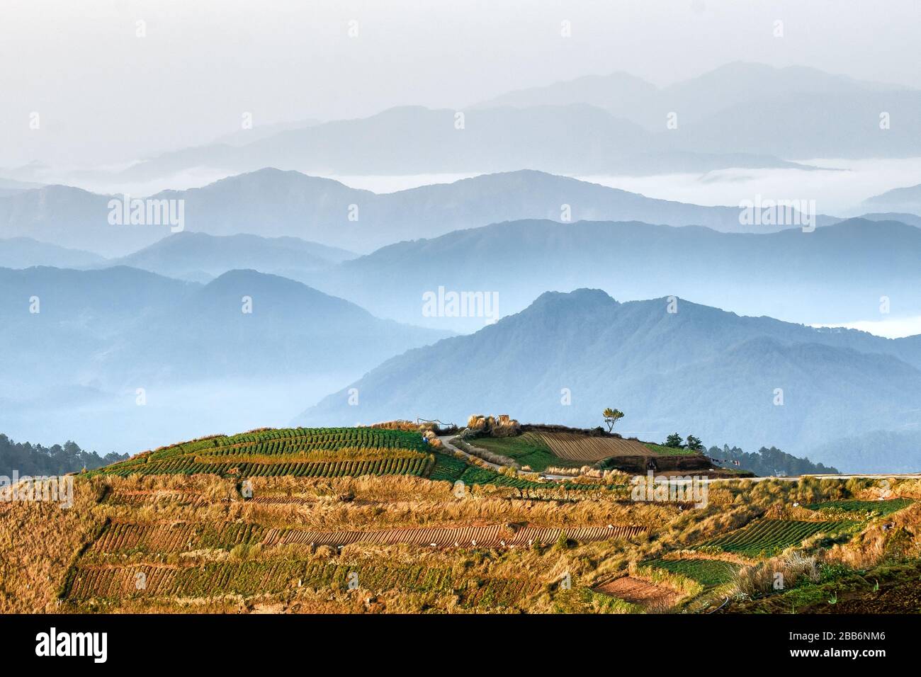 Benguet hi-res stock photography and images - Alamy