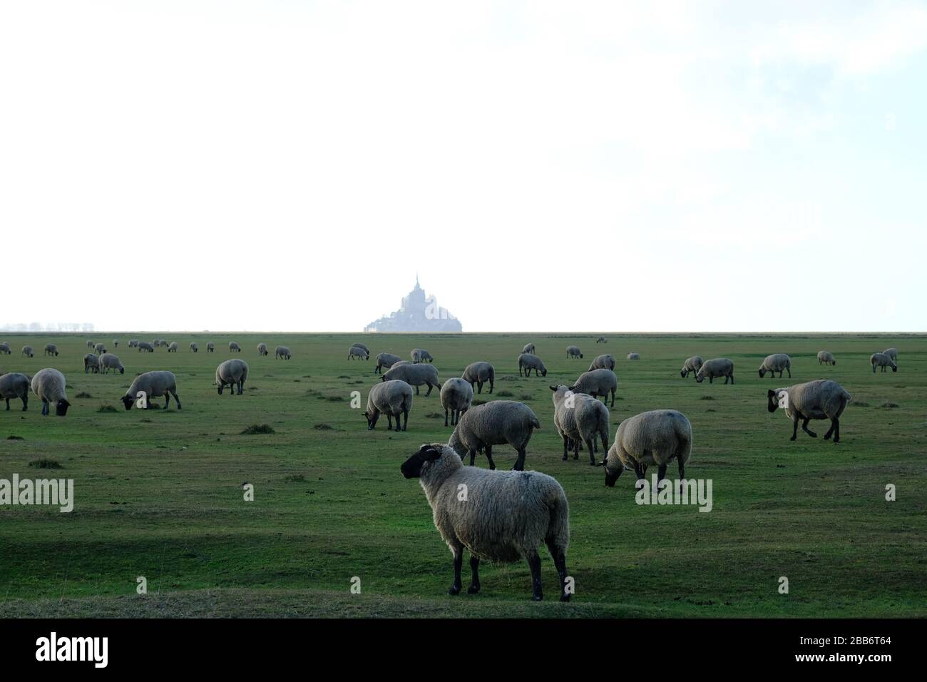 Monastery and flock of sheep hi-res stock photography and images - Alamy