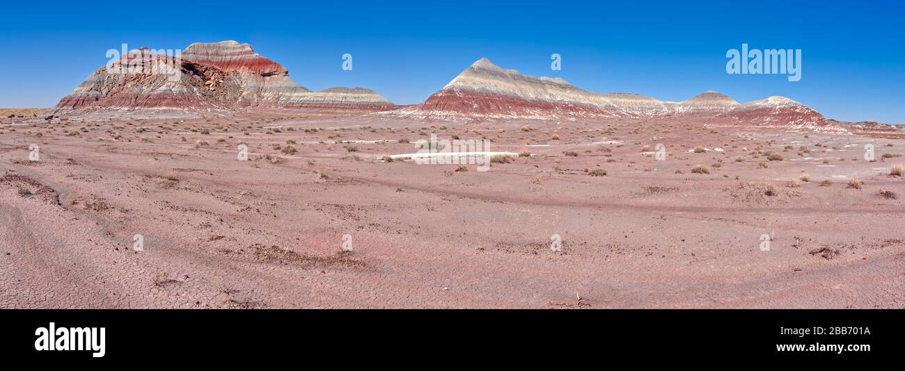 Petrified national forest arizona hi-res stock photography and images ...