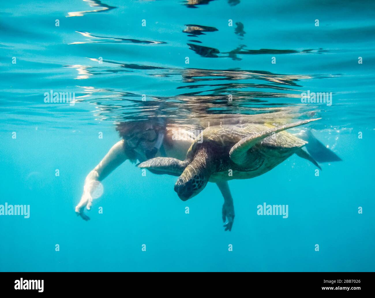 Women wild swimming hi-res stock photography and images - Alamy
