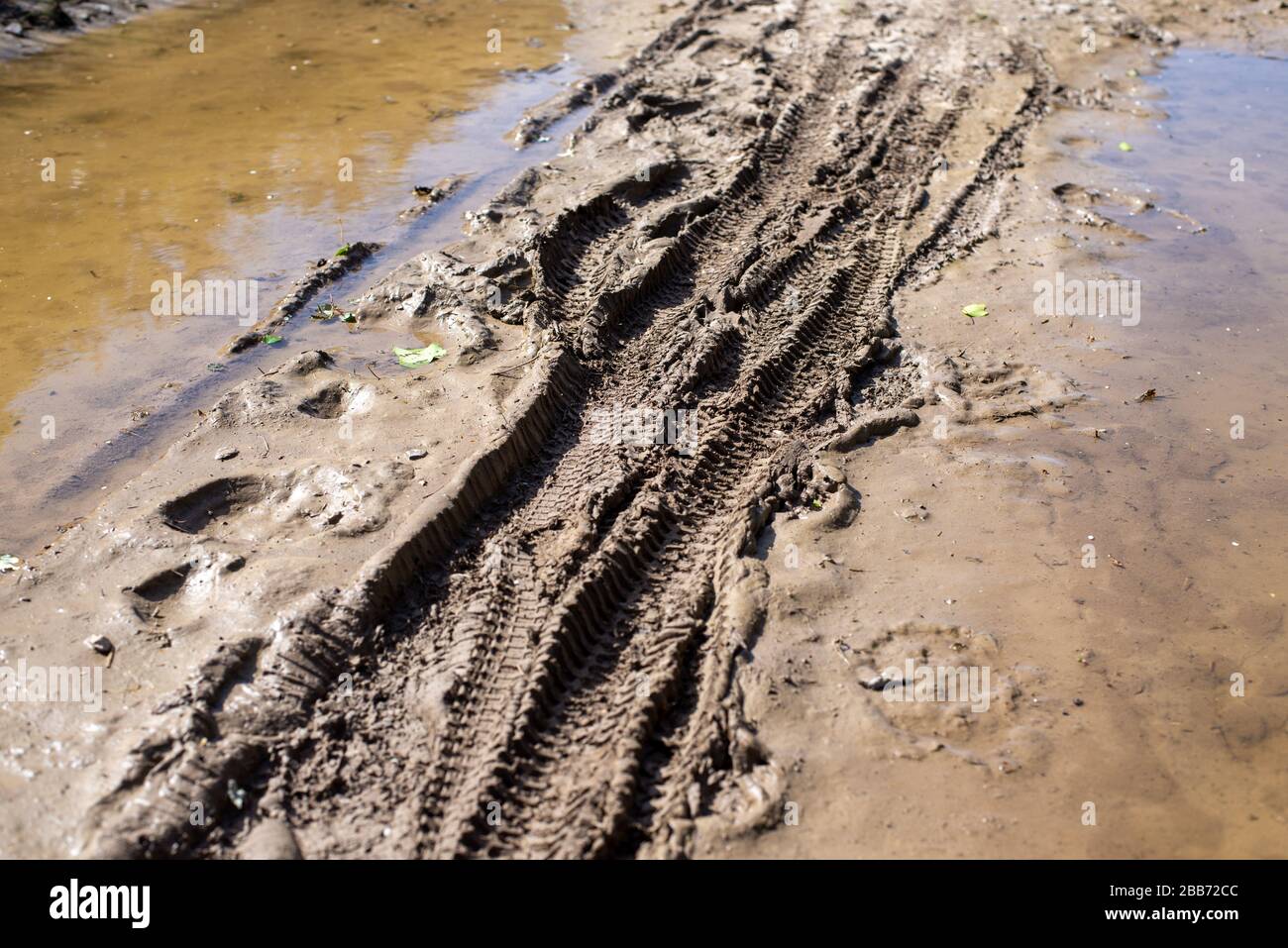 Muddy Vehicle Tracks Stock Photo - Alamy