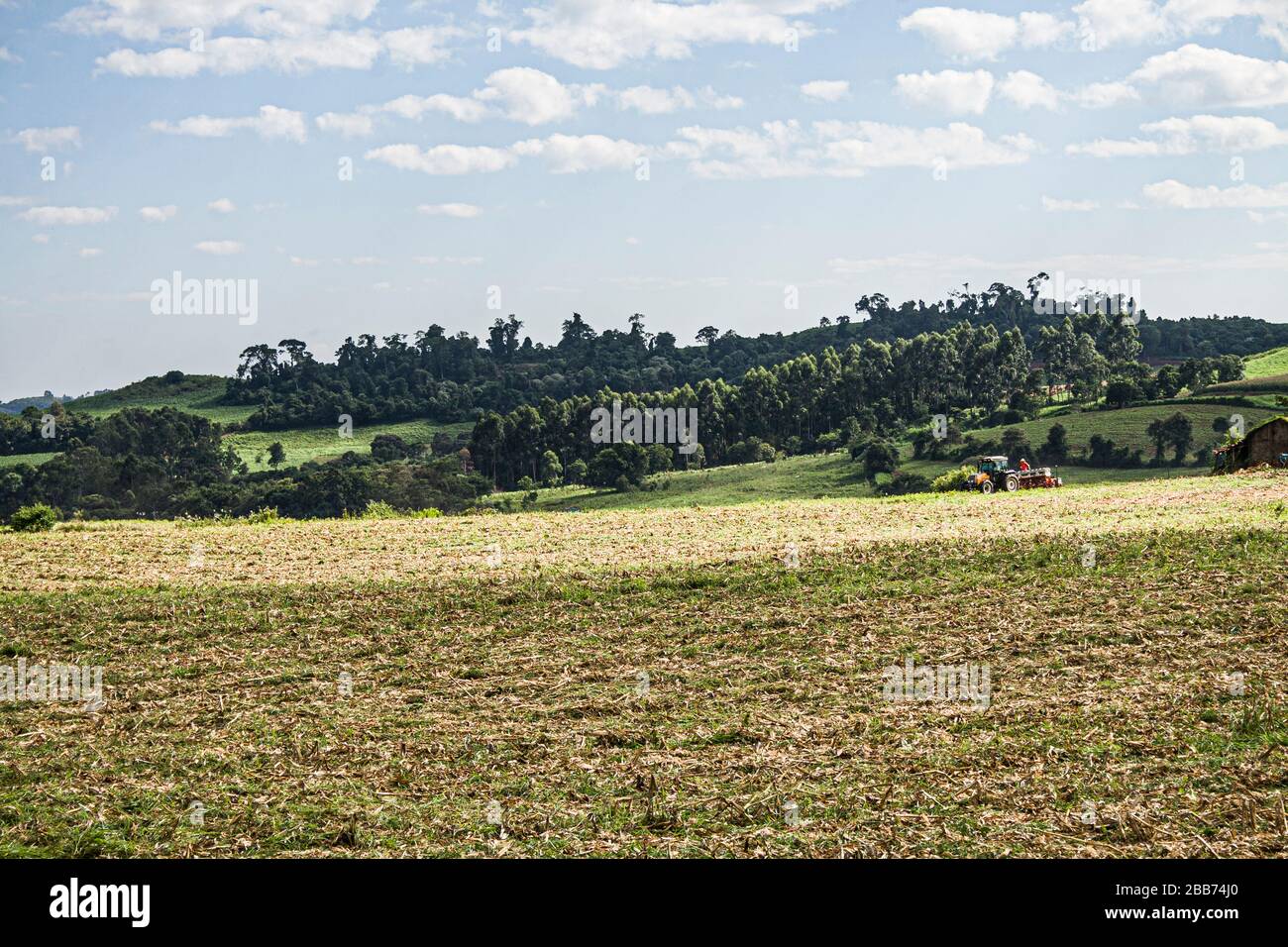 Agriculture brazil landscape farmland hi-res stock photography and ...