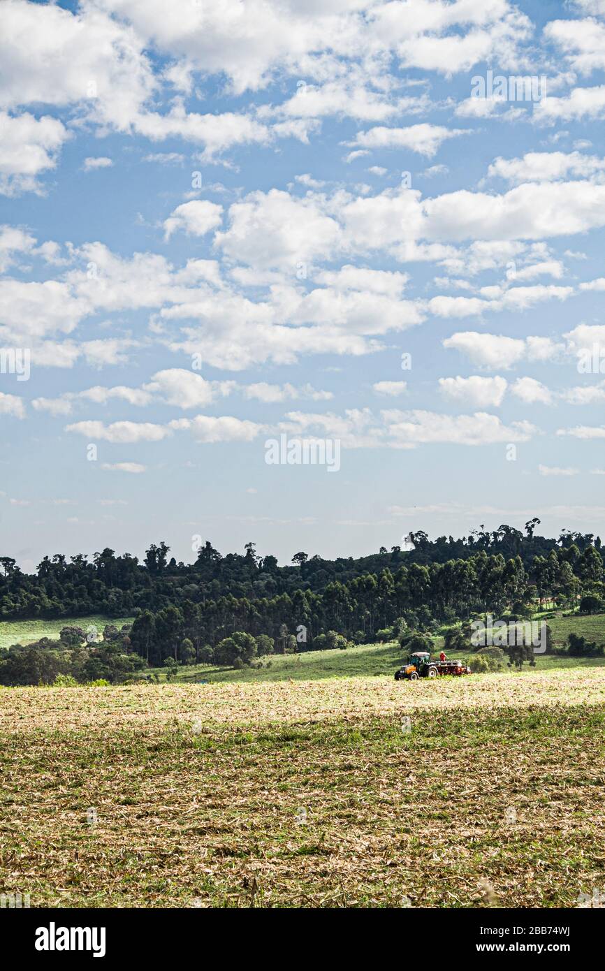 Oeste do brasil hi-res stock photography and images - Alamy