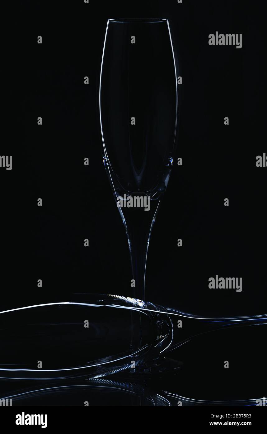 Close up view of contour of a beautiful two slim, tall and elegant ...