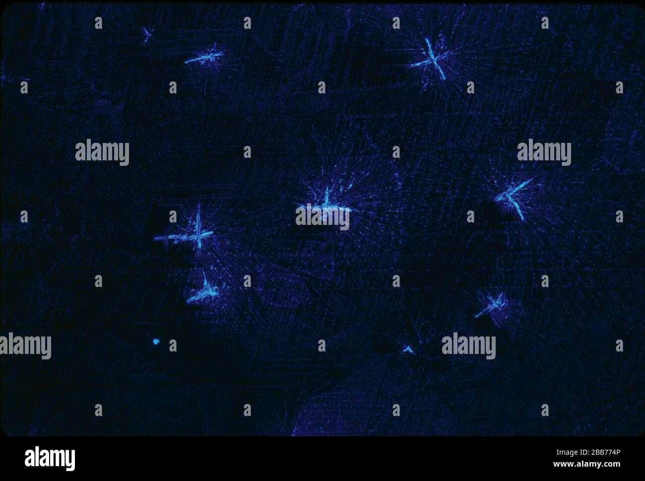 Cisplatin hi-res stock photography and images - Alamy