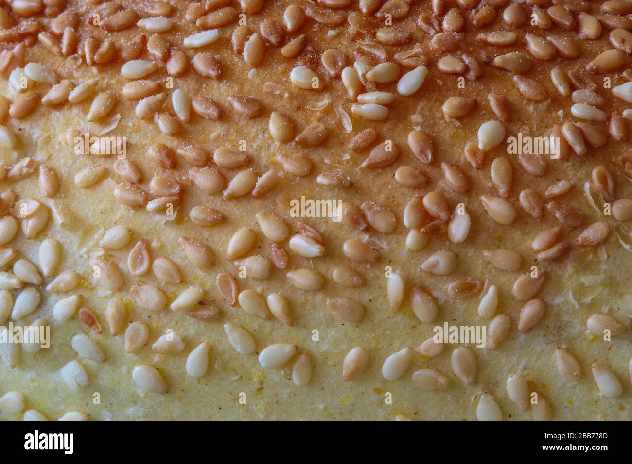 Macro close up of fresh corn bread roll surface with sesame seeds as ...