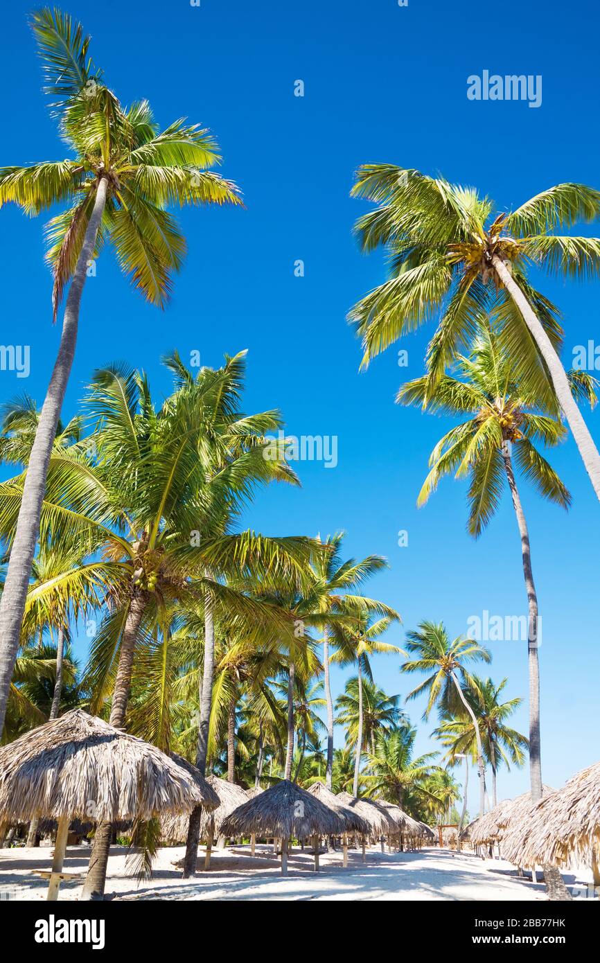 Unusually beautiful sunny beach ball photographed on a walk Stock Photo ...