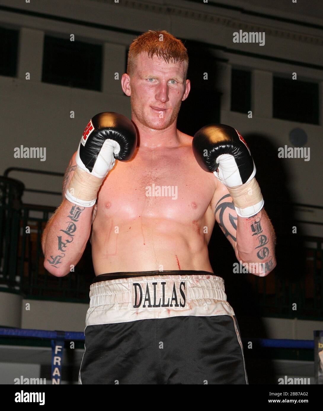Tom Dallas Boxer