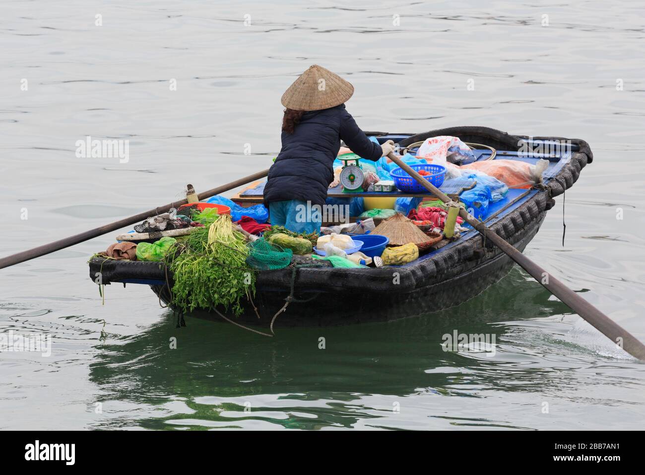 Floating store in Halong Bay,Vietnam,Asia Stock Photo - Alamy
