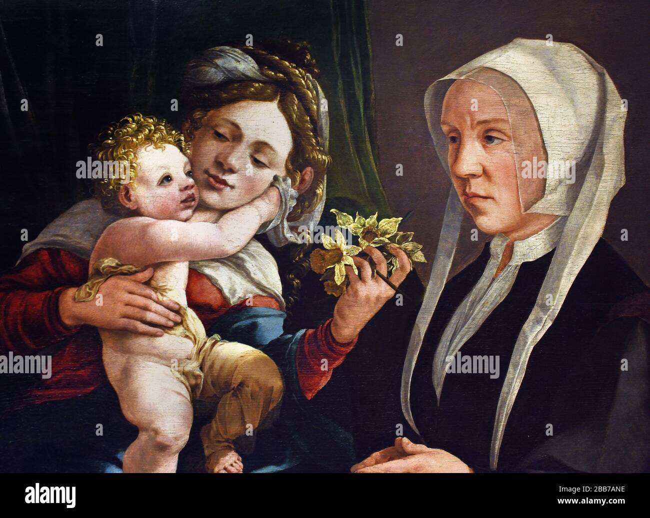 Madonna of the Daffodils with the Christ Child and Donors 1535 Jan van Scorel. Schoorl 1495 ...