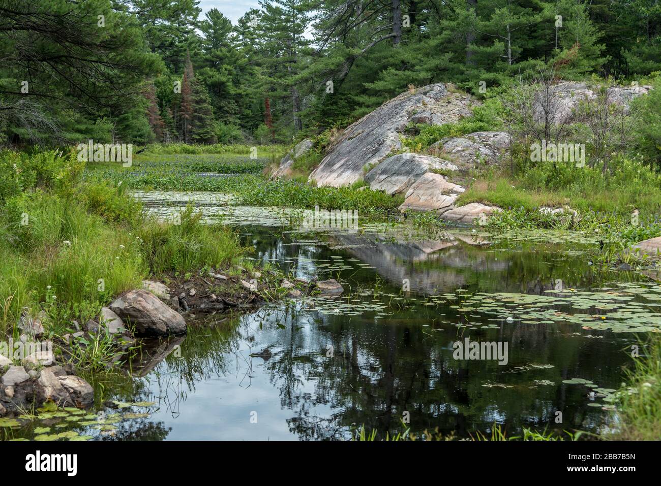 Muskoka granite rock hi-res stock photography and images - Alamy