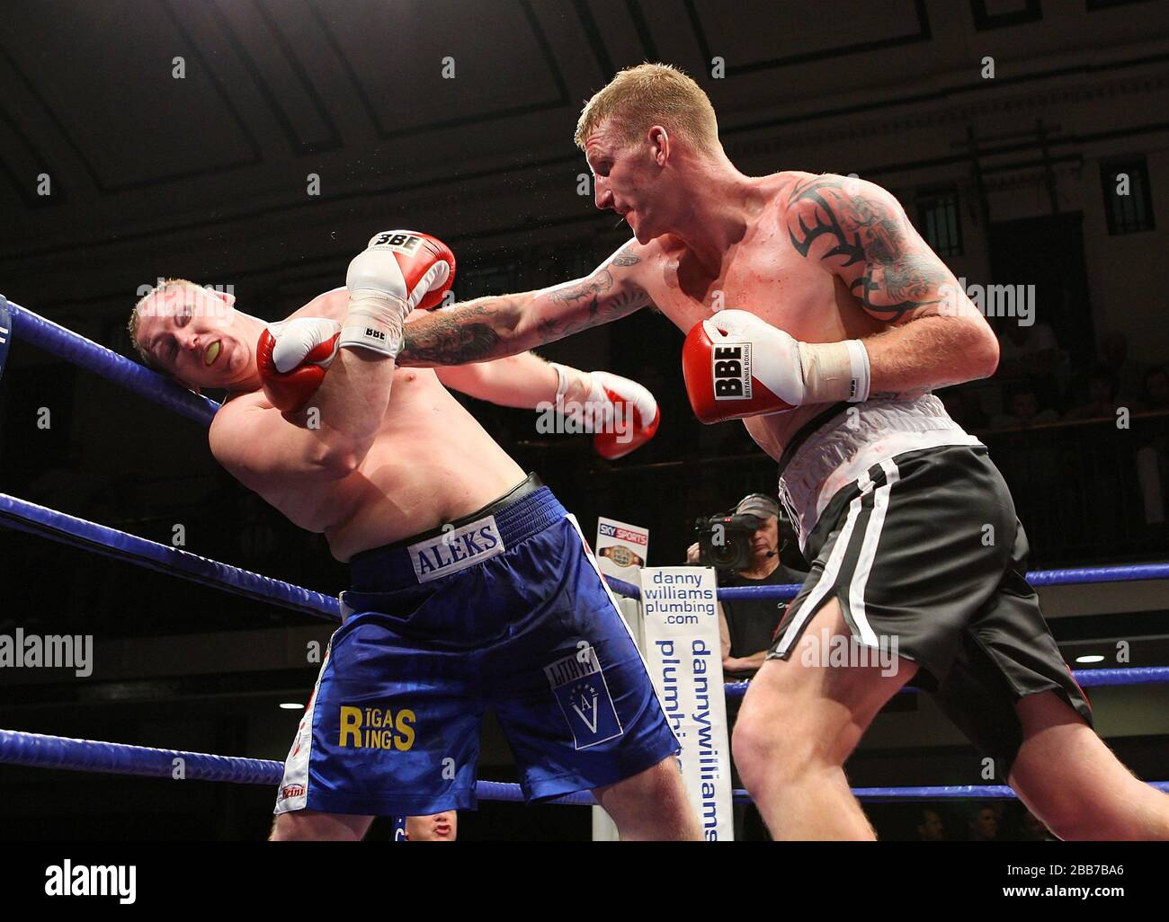 Tom Dallas Boxer