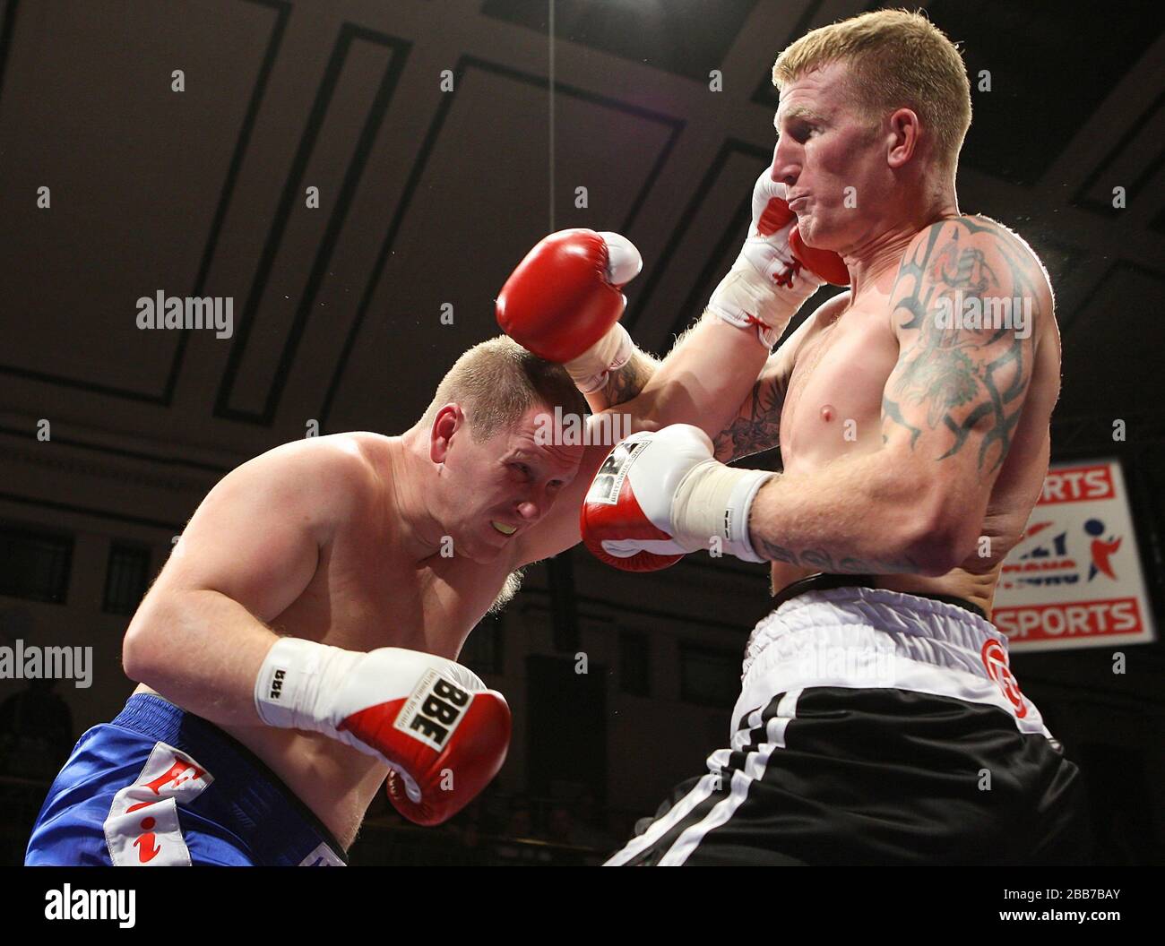 Tom Dallas Boxer
