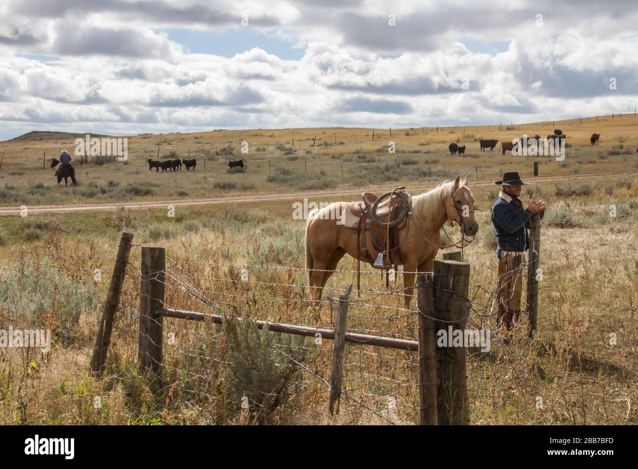 A cowboy holds a gate open Stock Photo - Alamy