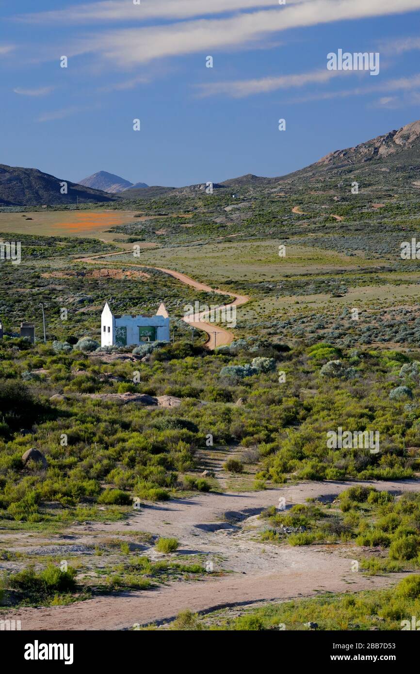 Namaqualand hi-res stock photography and images - Alamy
