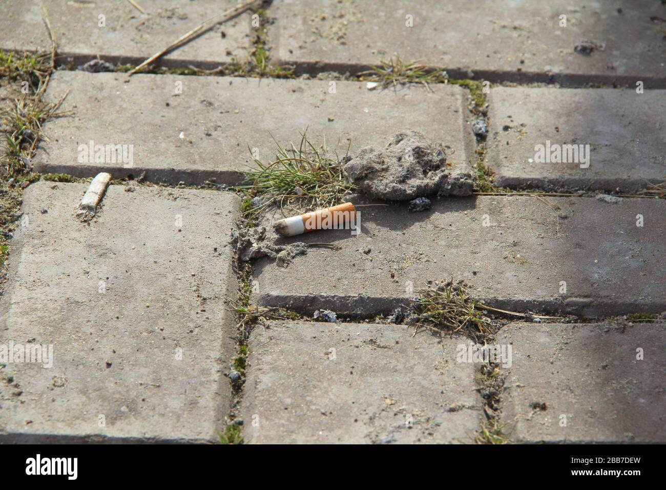 Cigarette butts lie on the on the sidewalk of gray pavers ...