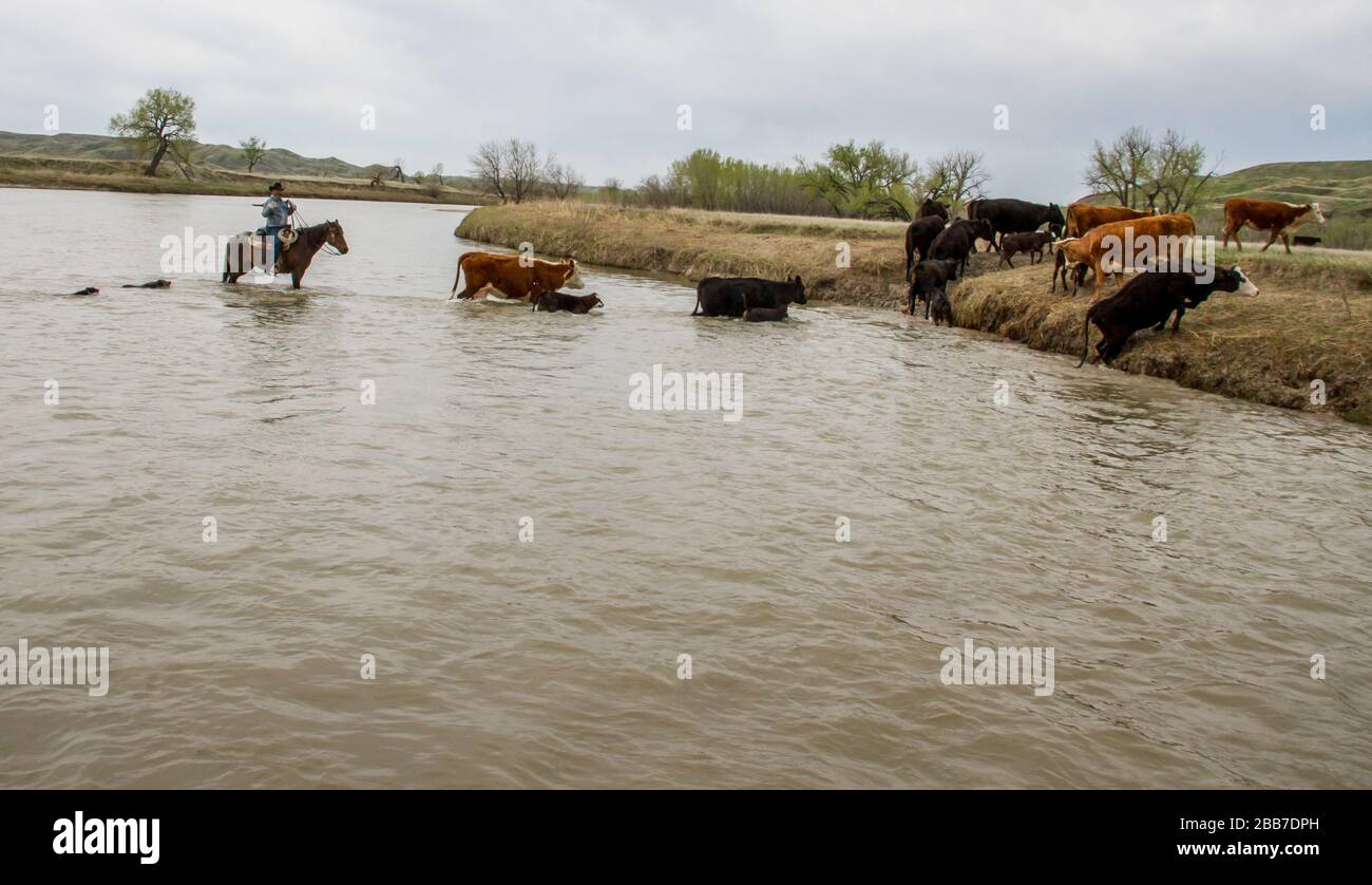 Cheyenne river hi-res stock photography and images - Alamy