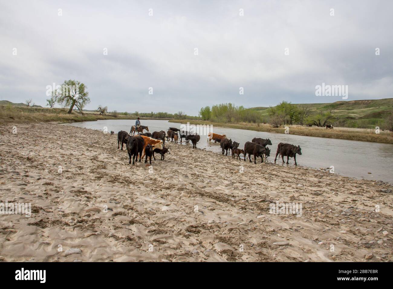 Cheyenne river hi-res stock photography and images - Alamy