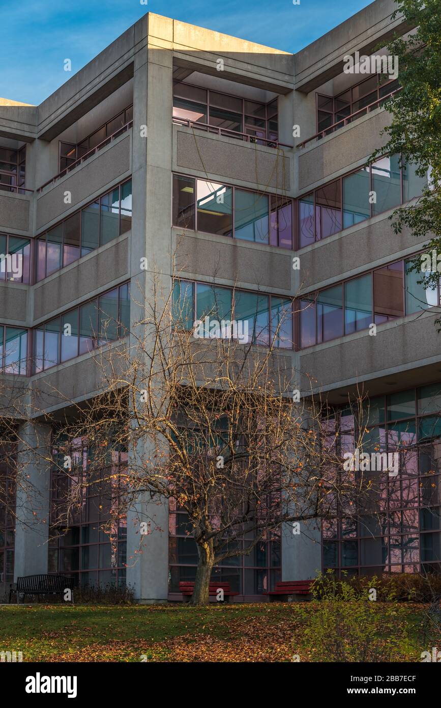 Business building in fall time. Markham, Canada Stock Photo - Alamy