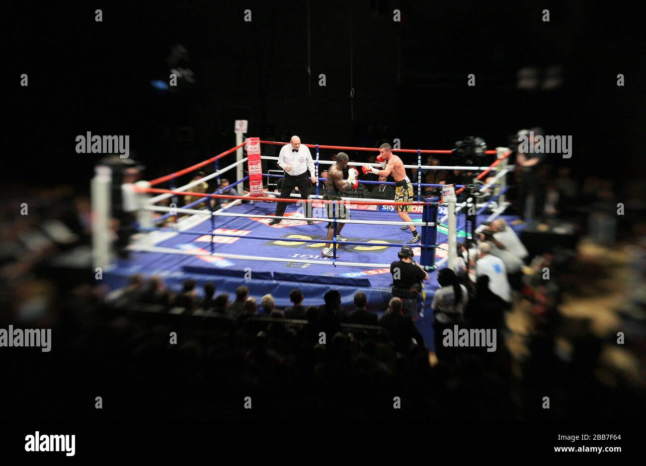 General view boxing ring in hi-res stock photography and images - Alamy