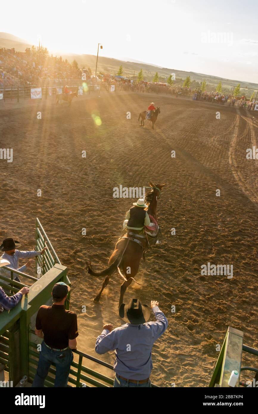 Rodeo chute hi-res stock photography and images - Alamy