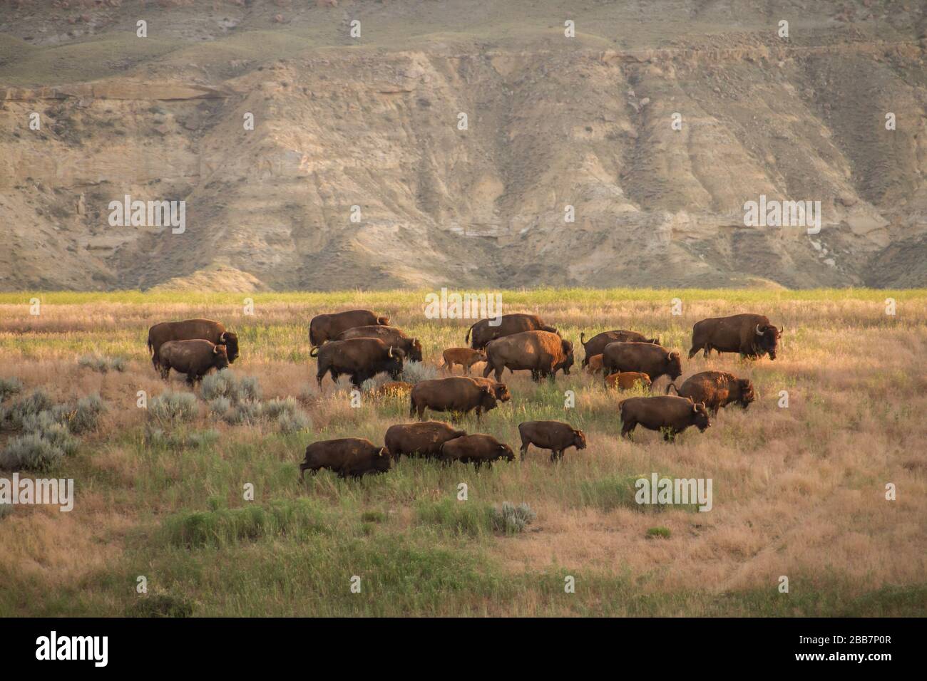 Native american owned hi-res stock photography and images - Alamy