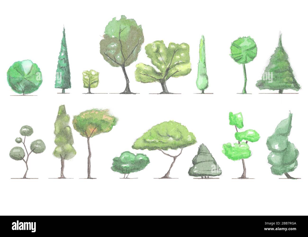 Architectural Watercolor Trees
