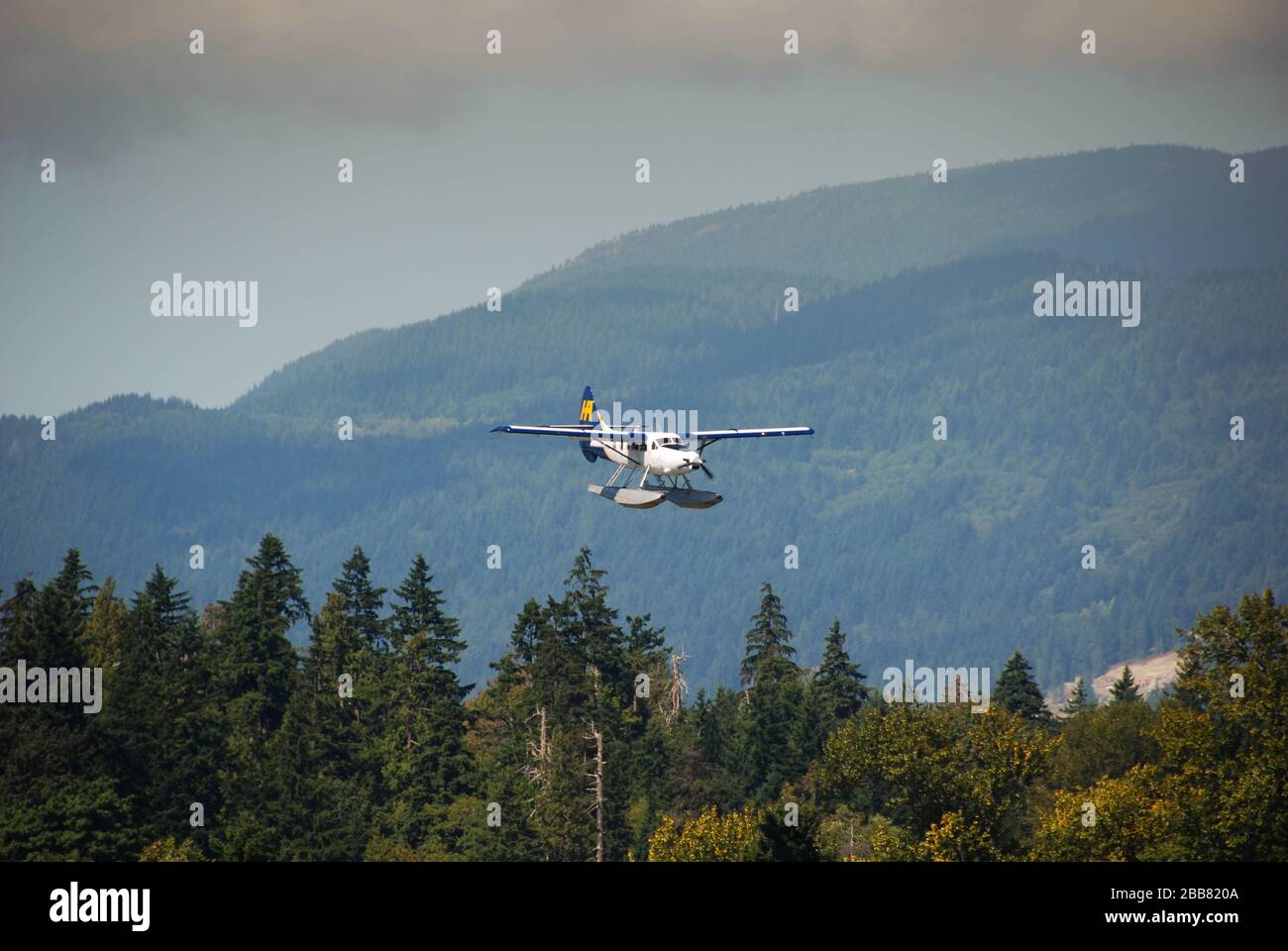 Vancouver, Canada - August 2012: A float plane flying low over tree ...